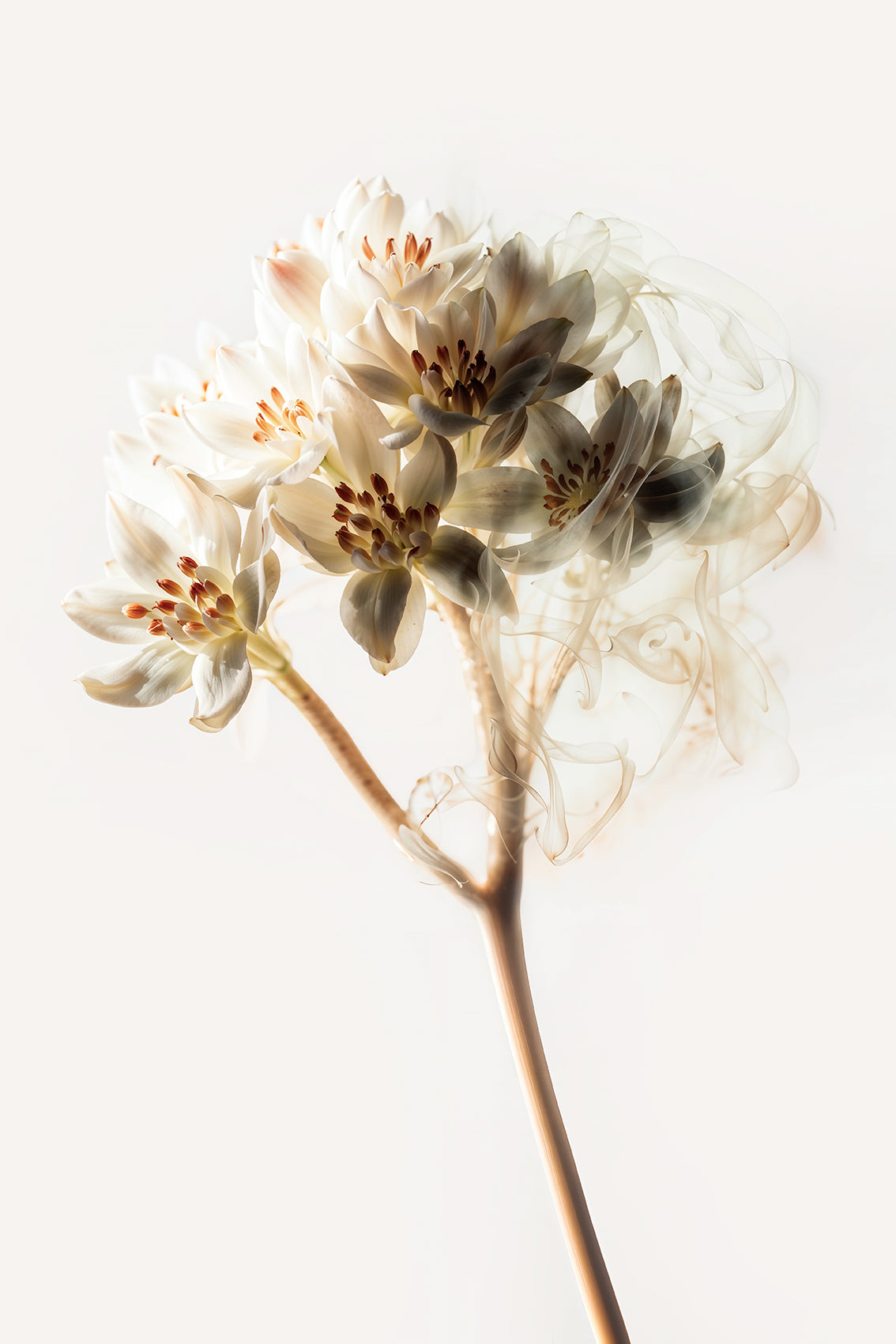 Core Collection – HEADSPACE